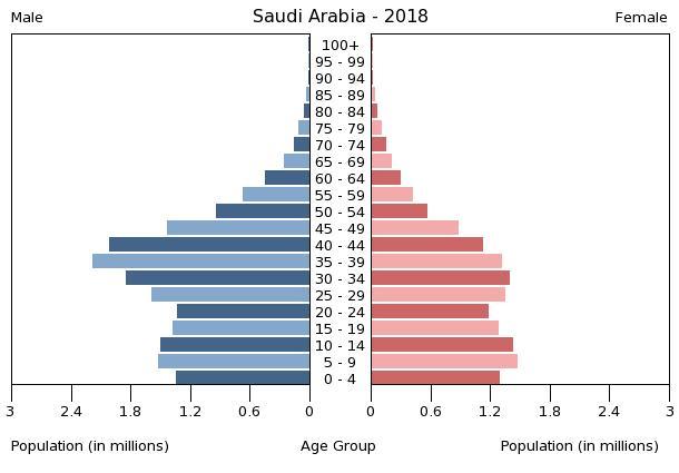 Länderinfos Saudi-Arabien - Lexas Länderinformationen - Saudi-Arabien ...